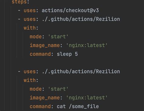Github Actions Marketplace Validationsreziliongithub Action
