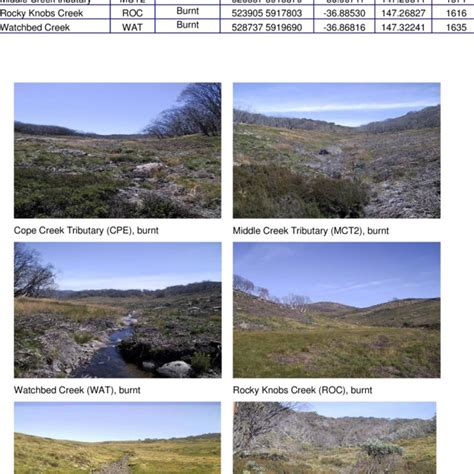 Macroinvertebrate Sampling Locations Download Table