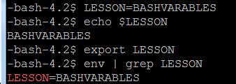 Bash Variables Files In Linux Study