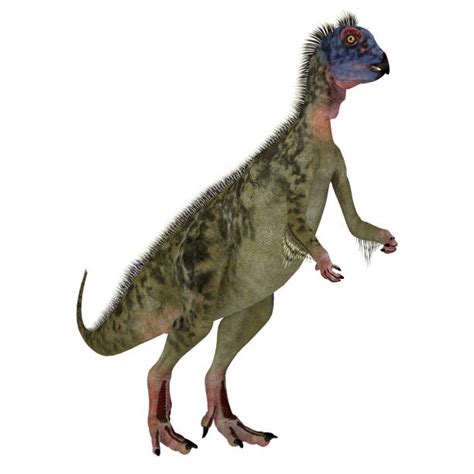 60 Hypsilophodon Fotos De Stock Imagens E Fotos Royalty Free Istock