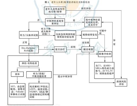 老年头晕 眩晕患者的诊断流程 知乎