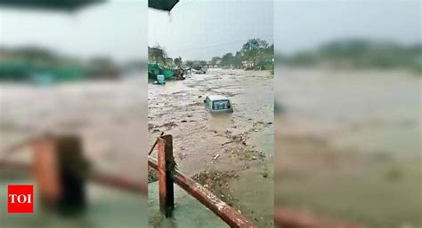 Monsoon Pre Monsoon Showers Lash Amreli Over 100 Trees Uprooted
