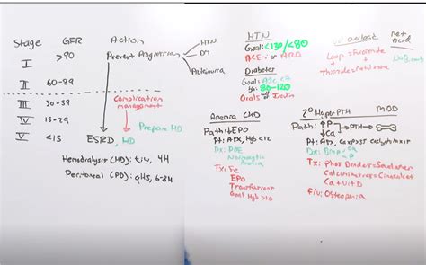 Ckd Diagram Quizlet