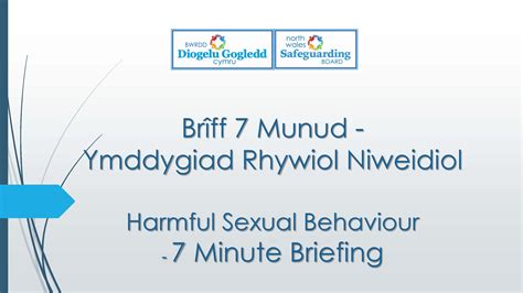 Harmful Sexual Behaviour HSB North Wales Safeguarding Board