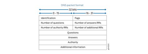 Dns Alg Junos Os Juniper Networks
