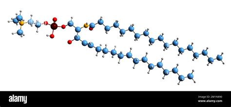 3d Image Of Sphingolipid Skeletal Formula Molecular Chemical
