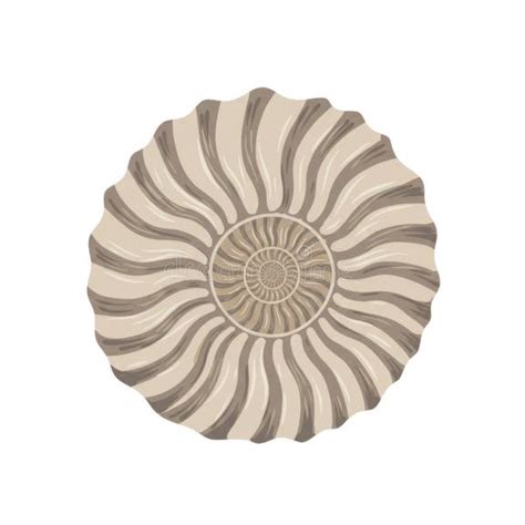 Detailed Nautilus Shell Cross Section With Concentric Geometric Pattern
