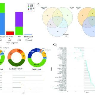 Differentially Expressed Gene DEG Distribution Of The Four Download Scientific Diagram