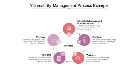 Vulnerability Management Process Example Ppt Powerpoint Presentation