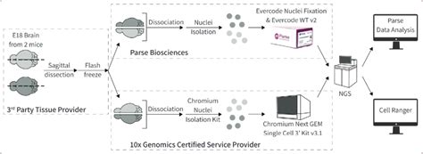 parse biosciences seqmatic