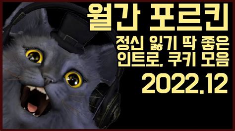 죽지도 않고 또 왔다 월간 포르킨 Youtube