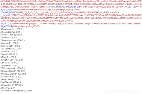 burpsuite插件——burpfakeip csdn博客