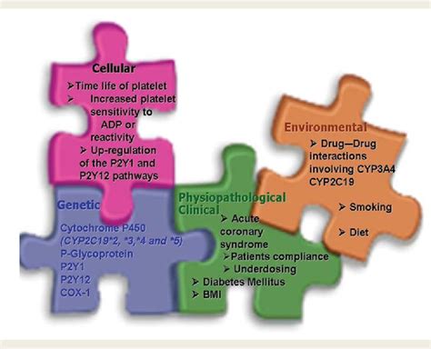 Figure 1 From Personalized Medicine And Antiplatelet Therapy Ready For Prime Time Semantic