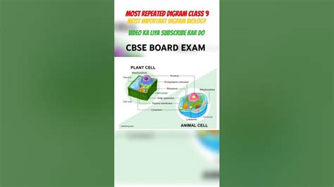 Cbse Ncert Book Digram Most Important 🔥🔥🇮🇳 Class 9 Digram Viral Science Youtube