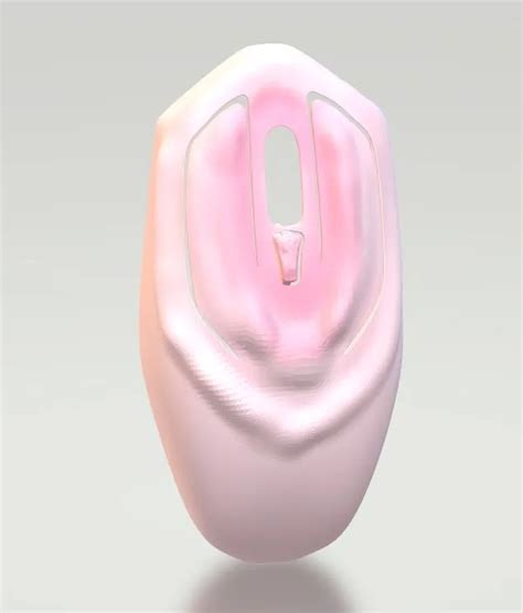 Pussy Mouse For Wireless Mouse Components Kit By Olle D Download Free STL Model