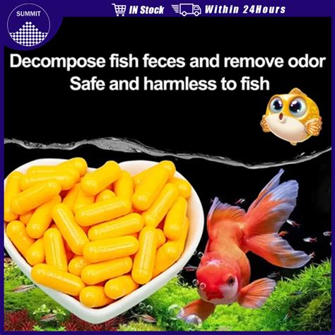 Aquarium Nitrifying Bacteria For Crystal Clear Water Purifier