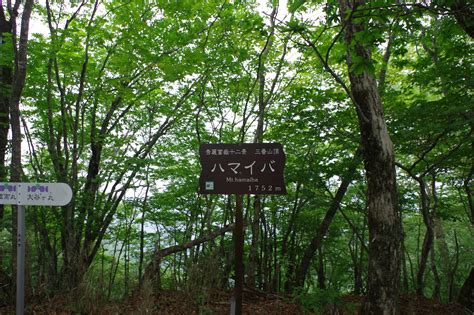 奥秩父大菩薩嶺遥かなる稜線を歩く大菩薩縦走の旅 Red sugar