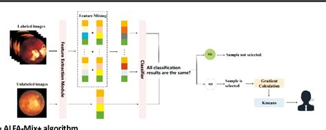 Figure 1 From Research On Classification Method Of High Myopic Maculopathy Based On Retinal