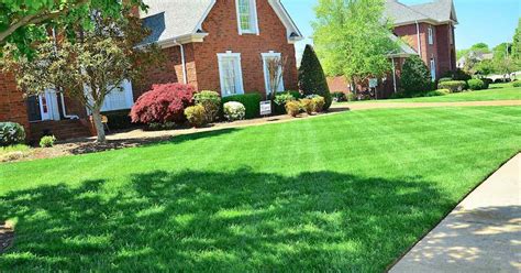 Mow Like A Pro Intro To Lawn Striping And Lawn Patterns