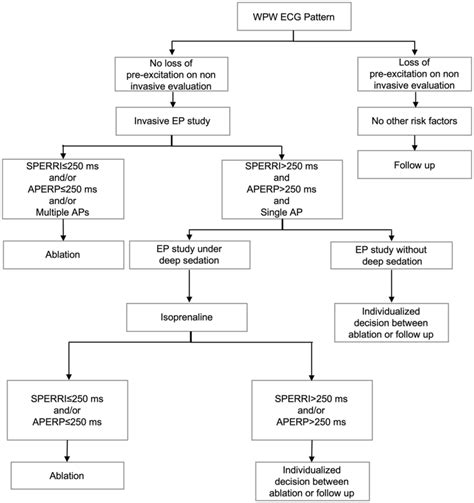 proposed management algorithm ap accessory pathway ecg download