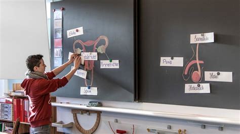 Aufklärungsunterricht An Schulen Lässt Zu Wünschen übrig Blick