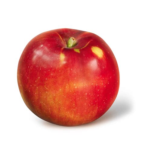 Jonamac Fowler Farms