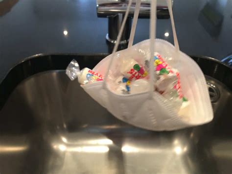 Year Science Hooke S Law Queenswood