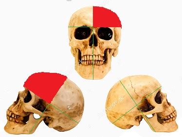 Ajax For Dynamic Image Source On Webserver Possible Or No General Guidance Arduino Forum