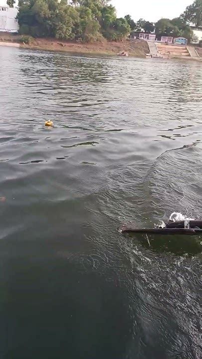 Deepdaan 💗 Youtube