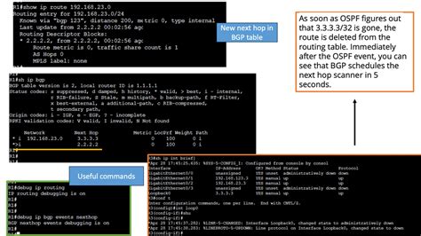 Optimal Layer 3 Forwarding