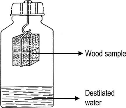 Scheme Of Formaldehyde Emission Test Download Scientific Diagram