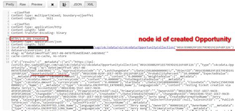 SAP ABAP Central Regarding Cookie Manipulation In CL CLIENT To