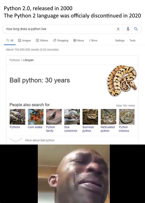 Rip Python 2 2000 2020 Scrolller