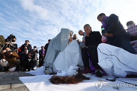 이태원 참사 유가족 국민의힘 특별볍 거부권 행사 건의에 삭발 연합뉴스