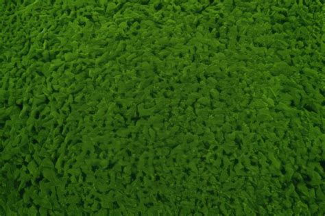 50000 Grass Texture 32 Ratio Pictures