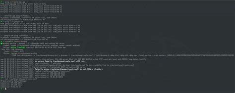 Can T Access The Site When Offline Issue Cpriego Valet Linux