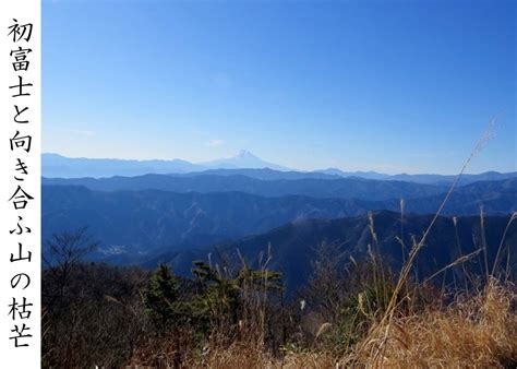 初富士 田舎暮しの日々雑句