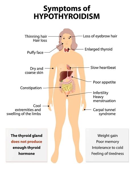 Long Menstrual Cycles What You Should Know
