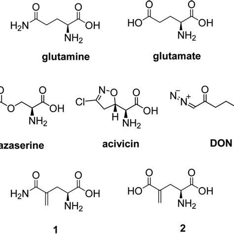 Structures Of Important Naturally Occurring Glutamine Derivatives Download Scientific Diagram