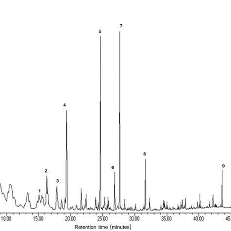 Total Ion Chromatogram Of Volatile Compounds Profile Of Ethanol Based