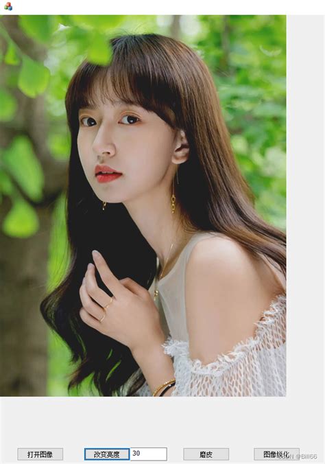 Opencv Mat对象与cimage对象间的数据传输实例mfc Cvmat Copyto Cimage Csdn博客