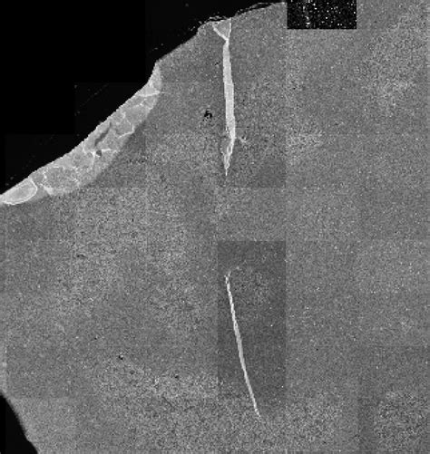 How To Solve Tiling Issue By Imagej Image Analysis Imagesc Forum