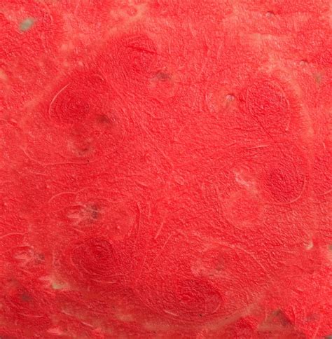 Photos Texture Pasteque 76 000 Photos De Haute Qualité Gratuites