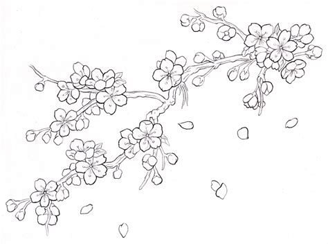 Cherry Blossom Branch Drawing Easy At Elizabeth Simson Blog
