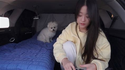 완~~전 바다 바로 앞 노지에서 스텔스 차크닉 솔로 차박 반려견 동반 소형 Suv 차박 셀토스 차박 에코플로우 파워뱅크 전남 신안 노지 Youtube