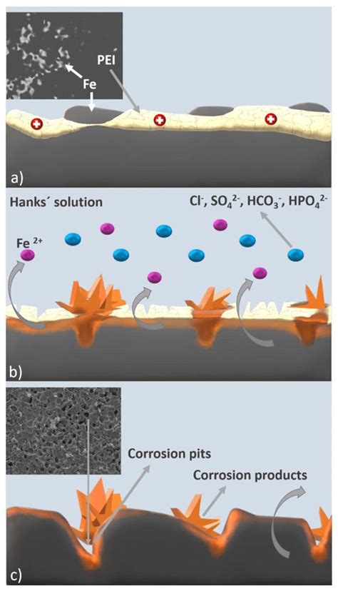 Schematic Representation Of Corrosion Processes Ongoing On The Surface