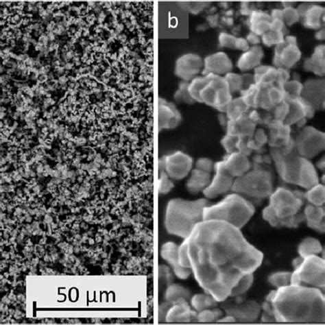 Sem Micrographs Of A Ni Powder From Vendor 1 And B Electrolytic