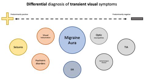 Differential Diagnosis Of Visual Phenomena Associated With Migraine