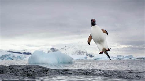 Clonezilla Live 3 2 1 디스크 복제 이미징 도구 Linux 6 12 Lts 포함