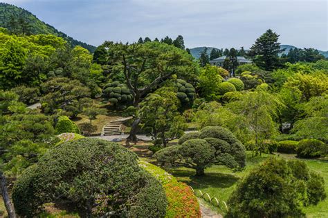 Tokyo Surrounds Holidays Luxury Tailor Made With Wexas